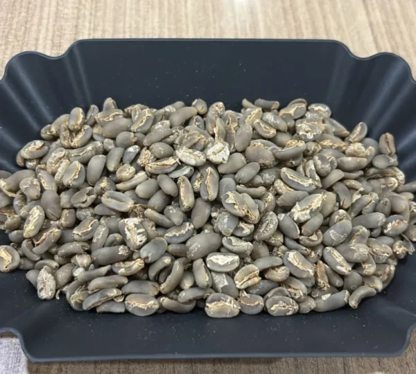 Abyssinian Coffee - FNB Coffee - Indonesia Green Coffee Beans Supplier