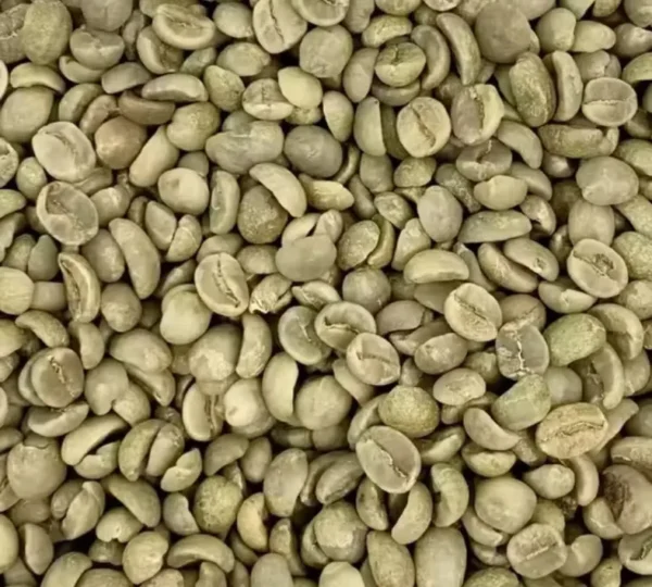 Excelsa Coffee - FNB Coffee - Fournisseur de café vert en grains d ...