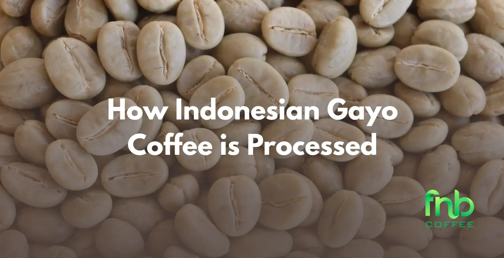 Procédé de fabrication du café Gayo indonésien - Fournisseur de grains ...